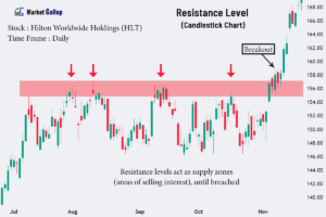 Candlestick Chart: Components, How to Read & Trade