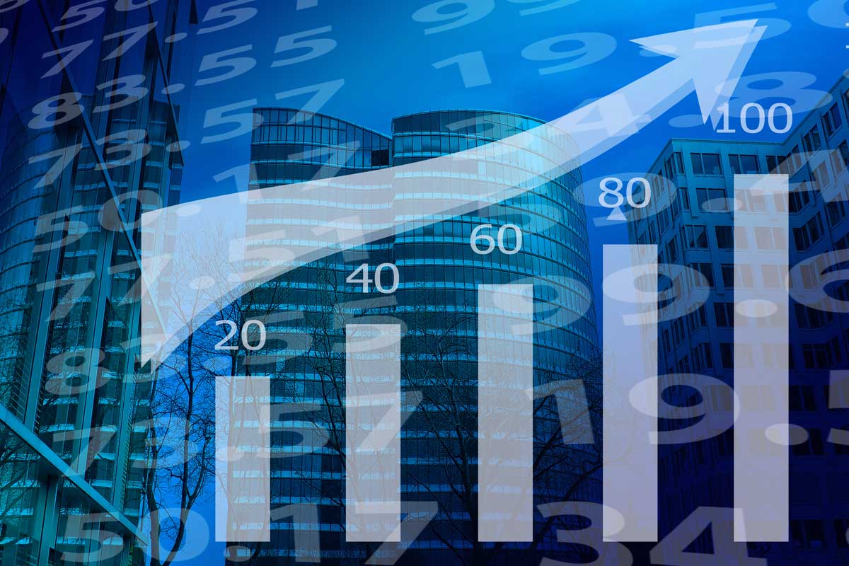 Stock Market Participants: Types, Roles & Examples