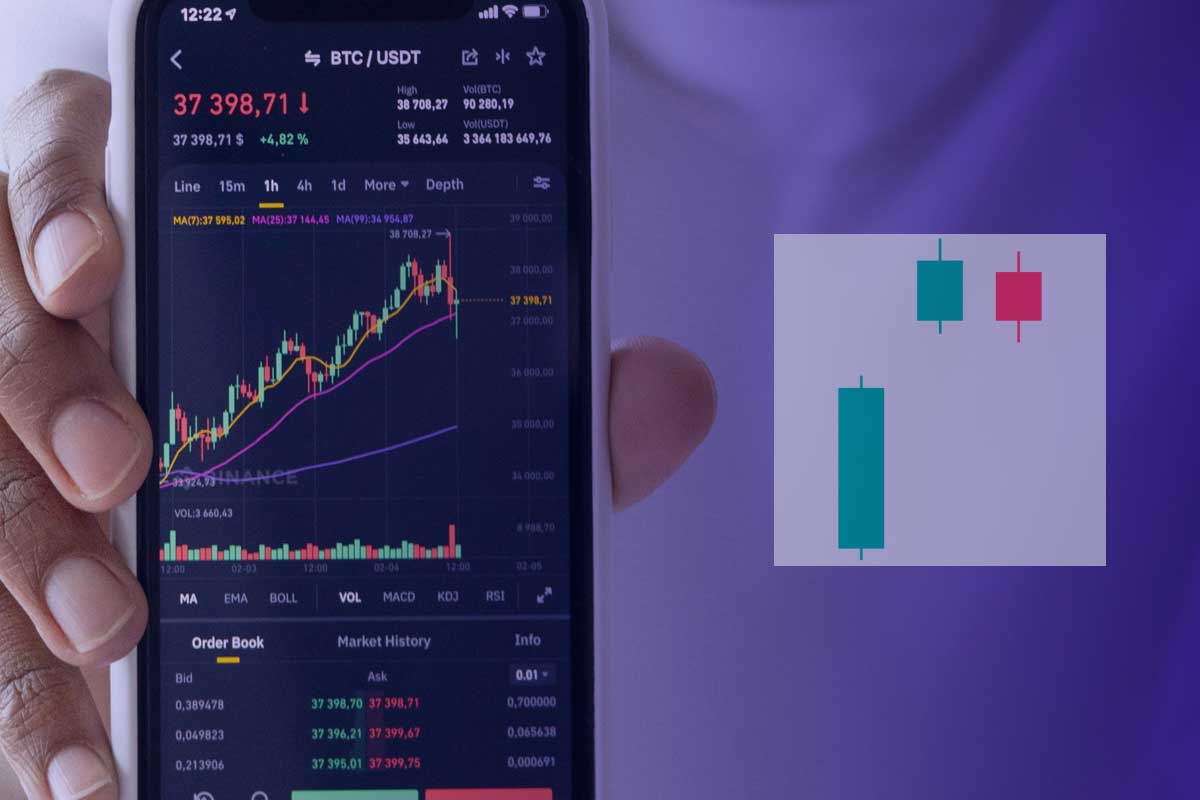 Institutional Investors: Meaning, Types & Examples